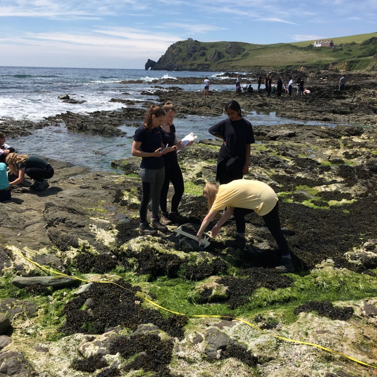 King's High Warwick - On the beach: Biology field trip