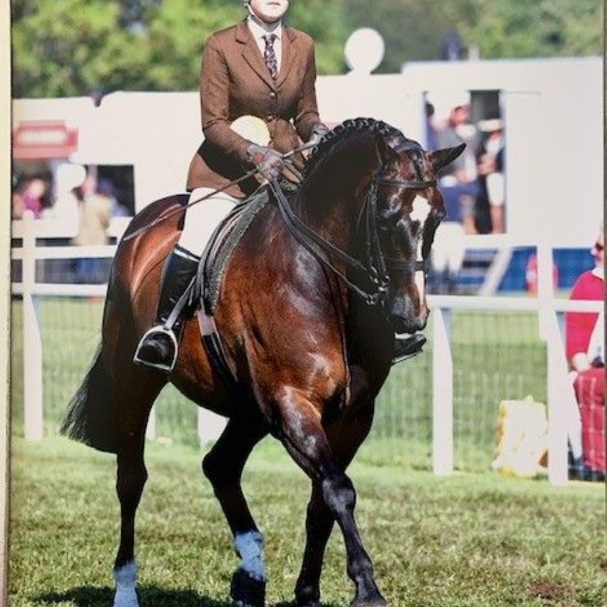 King's High Warwick - Equestrian Success